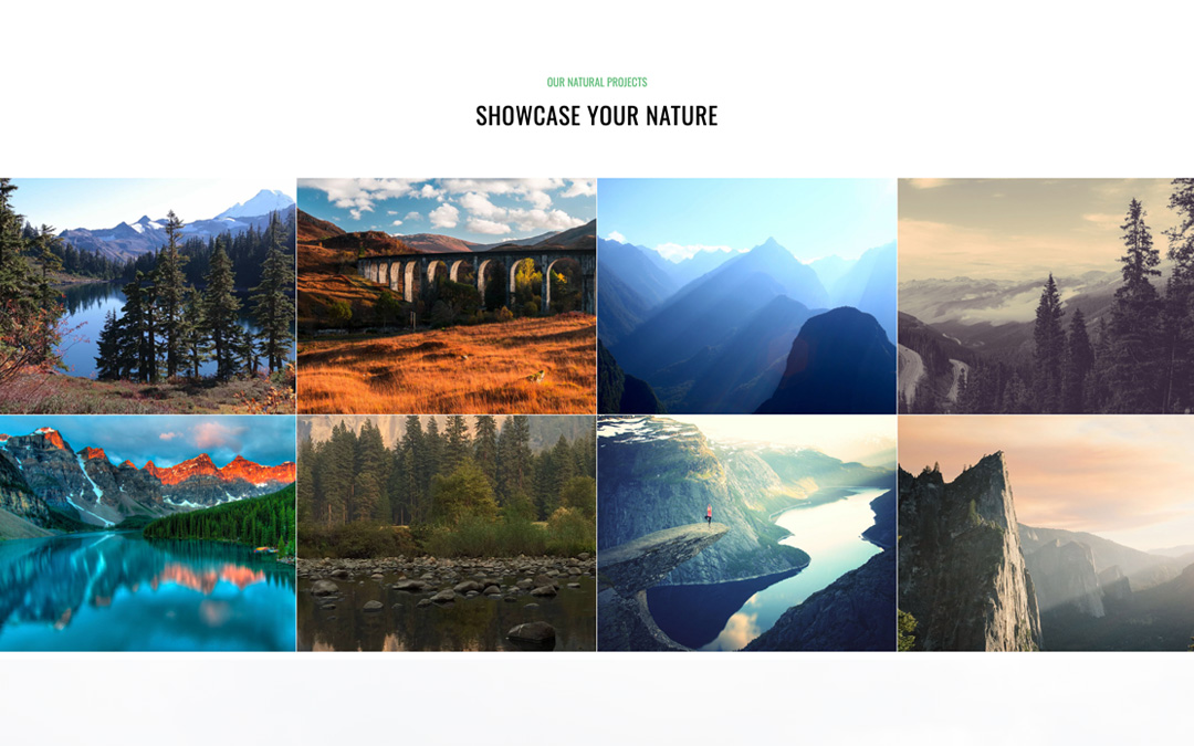 Natural Ecommerce - Charity HTML5 Responsive Website Template
