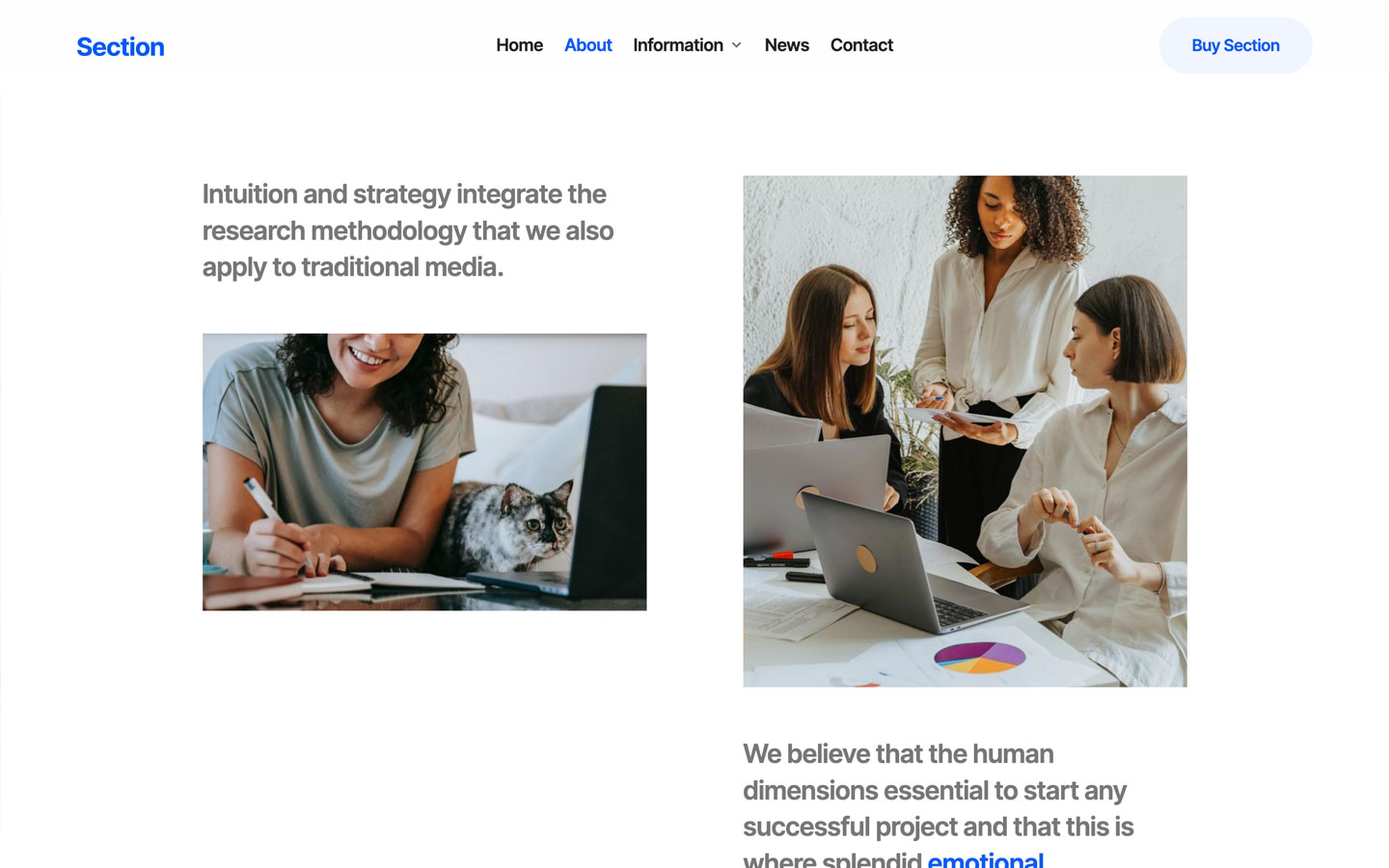 Section - SaaS HTML5 Responsive Website Template