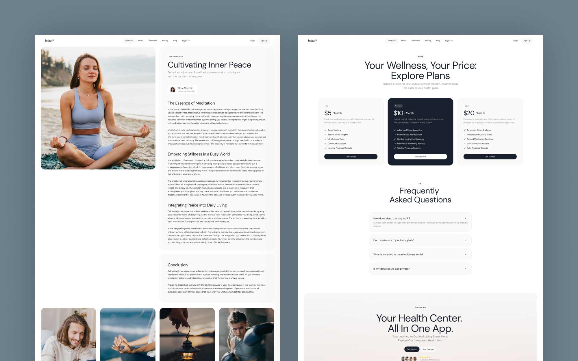 Halsa - SaaS HTML5 Responsive Website Template