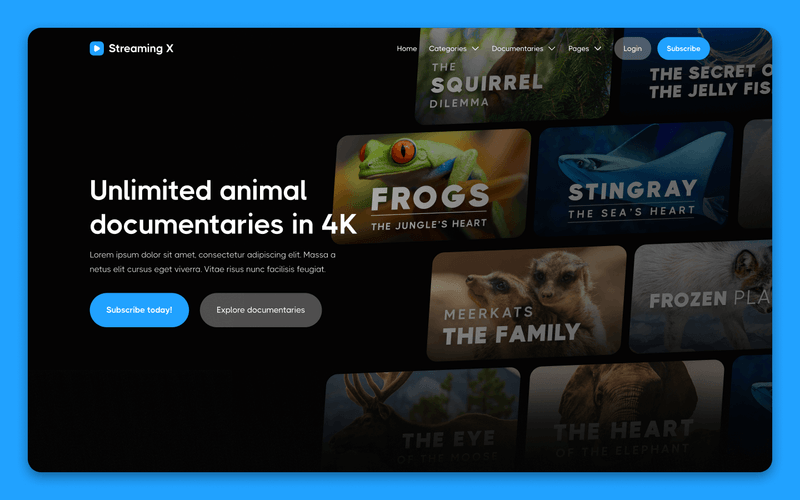 Streaming X - App HTML5 Responsive Website Template