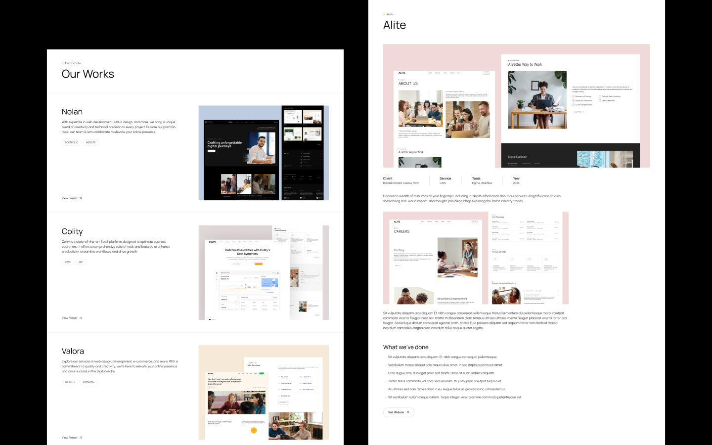 Walt Studio - Agency HTML5 Responsive Website Template
