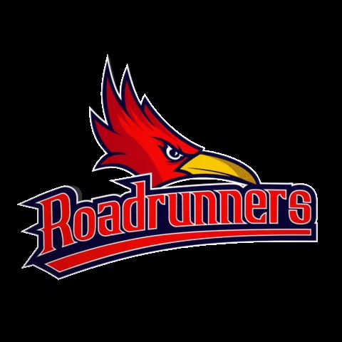 Roadrunners Baseball and Softball Club