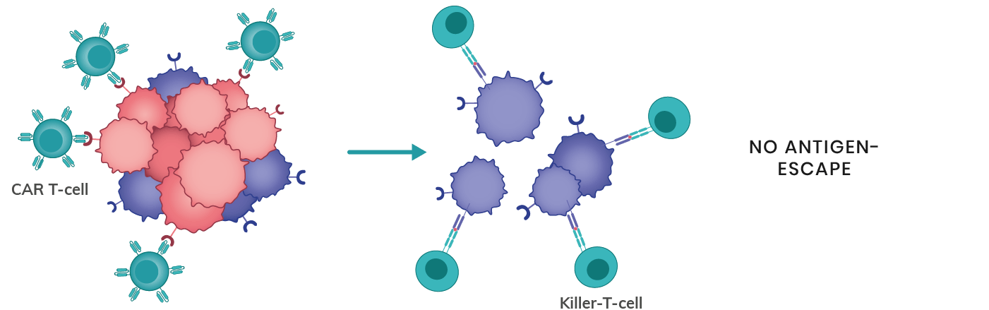 Technology | Elicera Therapeutics AB