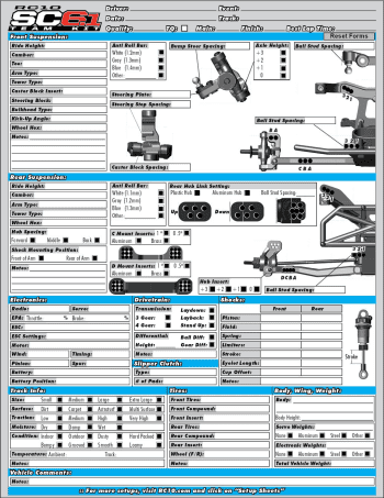 Team Associated RC10 SC6.1 Blank Setup Sheet (Editable)
