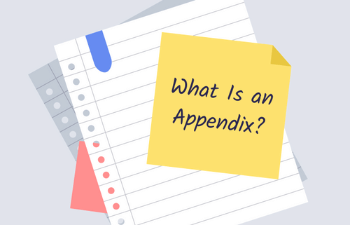 What Is an Appendix? Structure, Format & Examples | EssayPro