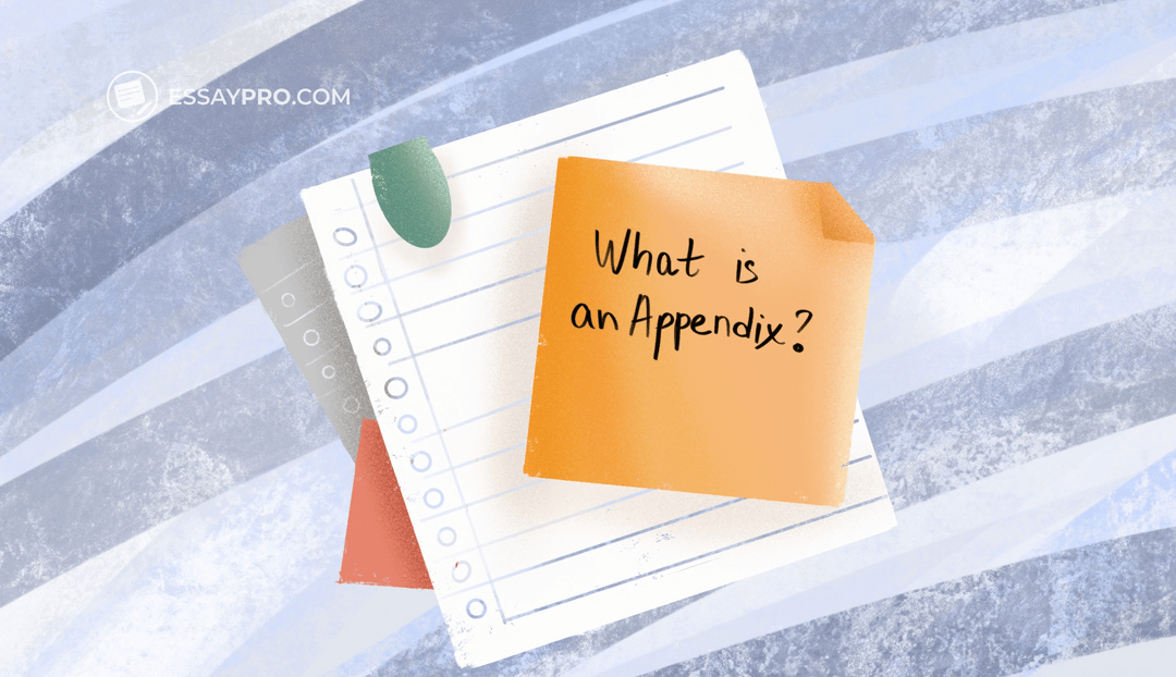 What Is an Appendix? Structure, Format & Examples | EssayPro
