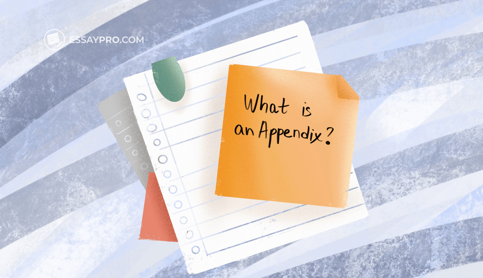 What Is an Appendix? Structure, Format & Examples | EssayPro