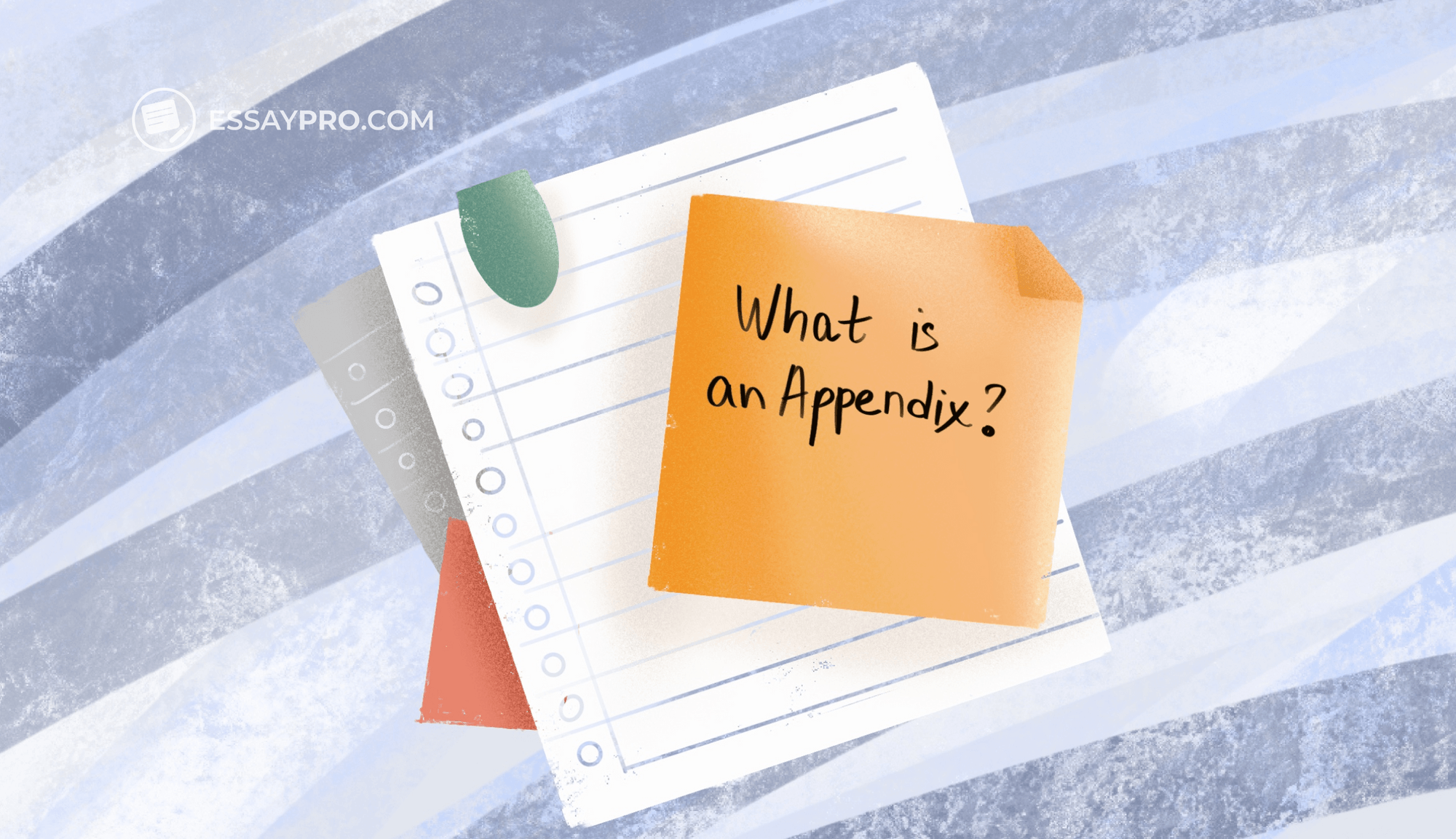 What Is an Appendix? Structure, Format & Examples | EssayPro