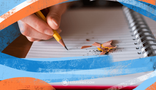 Term Paper: Full Guide with Structure, Outline & Examples