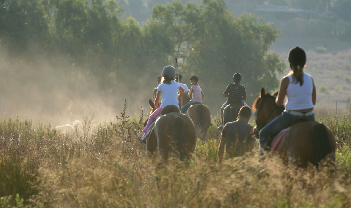 Sign Up Now For 2020 Summer Horse Program!