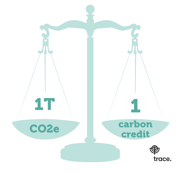 How to become a carbon neutral business, a step by step guide | Trace