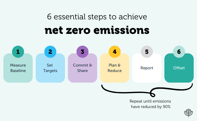 How to make your business net zero | Trace