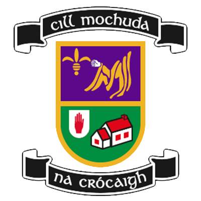 Gaelic Football Performance Analysis Software - GAA Video Analysis