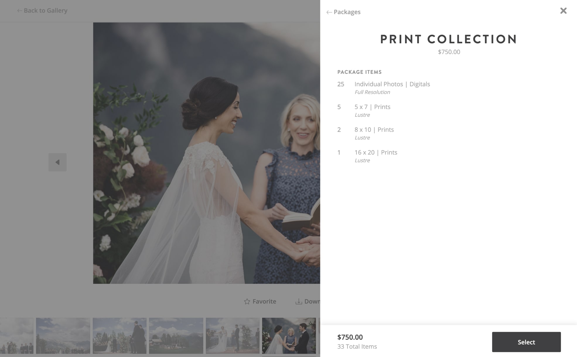 Online Photo Galleries for Photographers | ShootProof