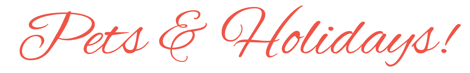 BBI celebrated the holiday season with its 2022 Company-wide Zoom Party!