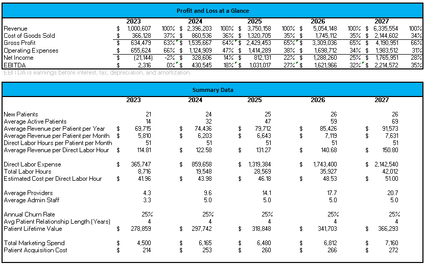 Non-Medical Home care Business Plan Guide + Example - ProjectionHub