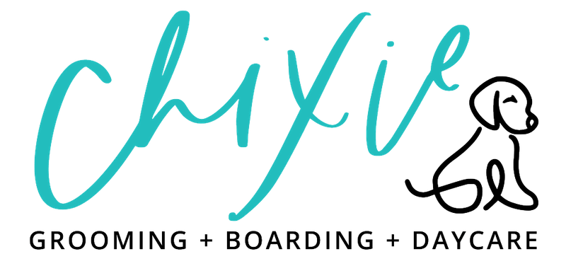 Chixie | Dog Grooming, Dog Boarding & Dog Daycare in Spring, TX