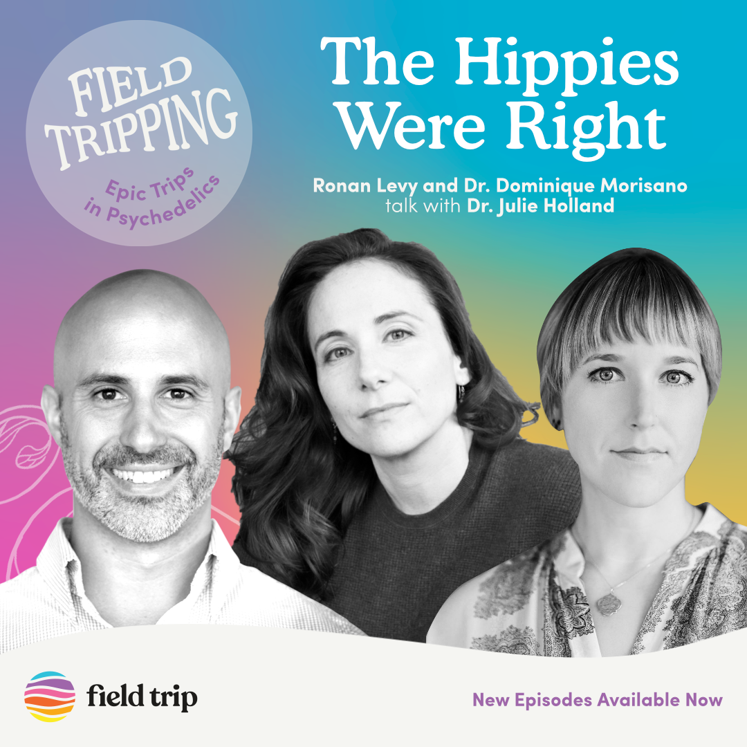 #24 The Hippies Were Right | Dr. Julie Holland