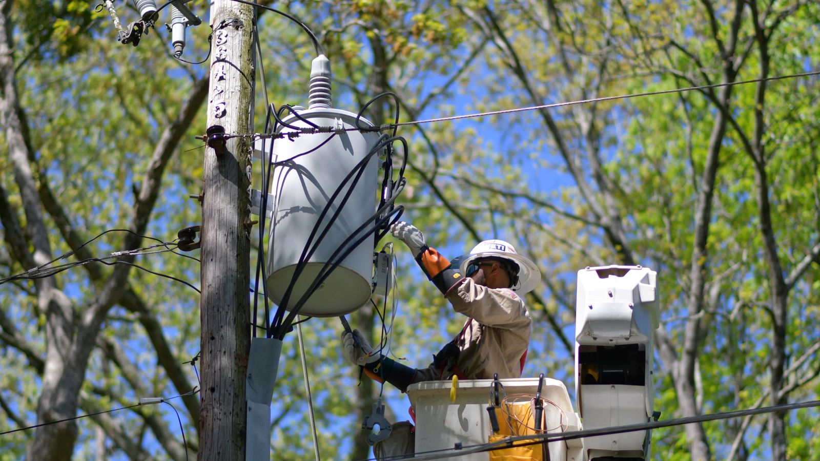 Endeavour | Our Companies