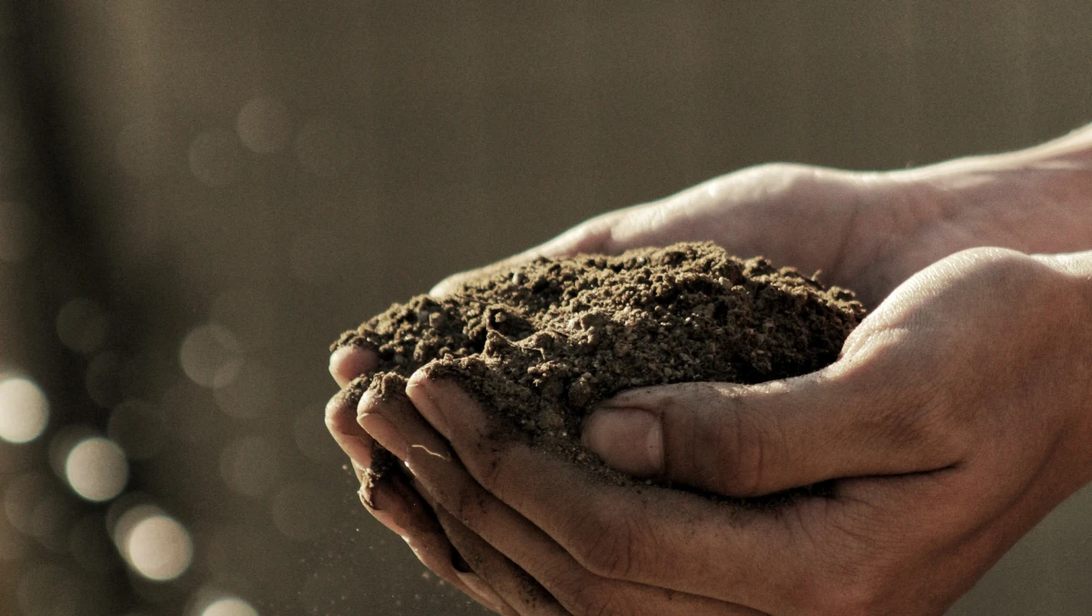 Have Old and Unused Business Cards? Try These 12 Recycling Ideas | Blog