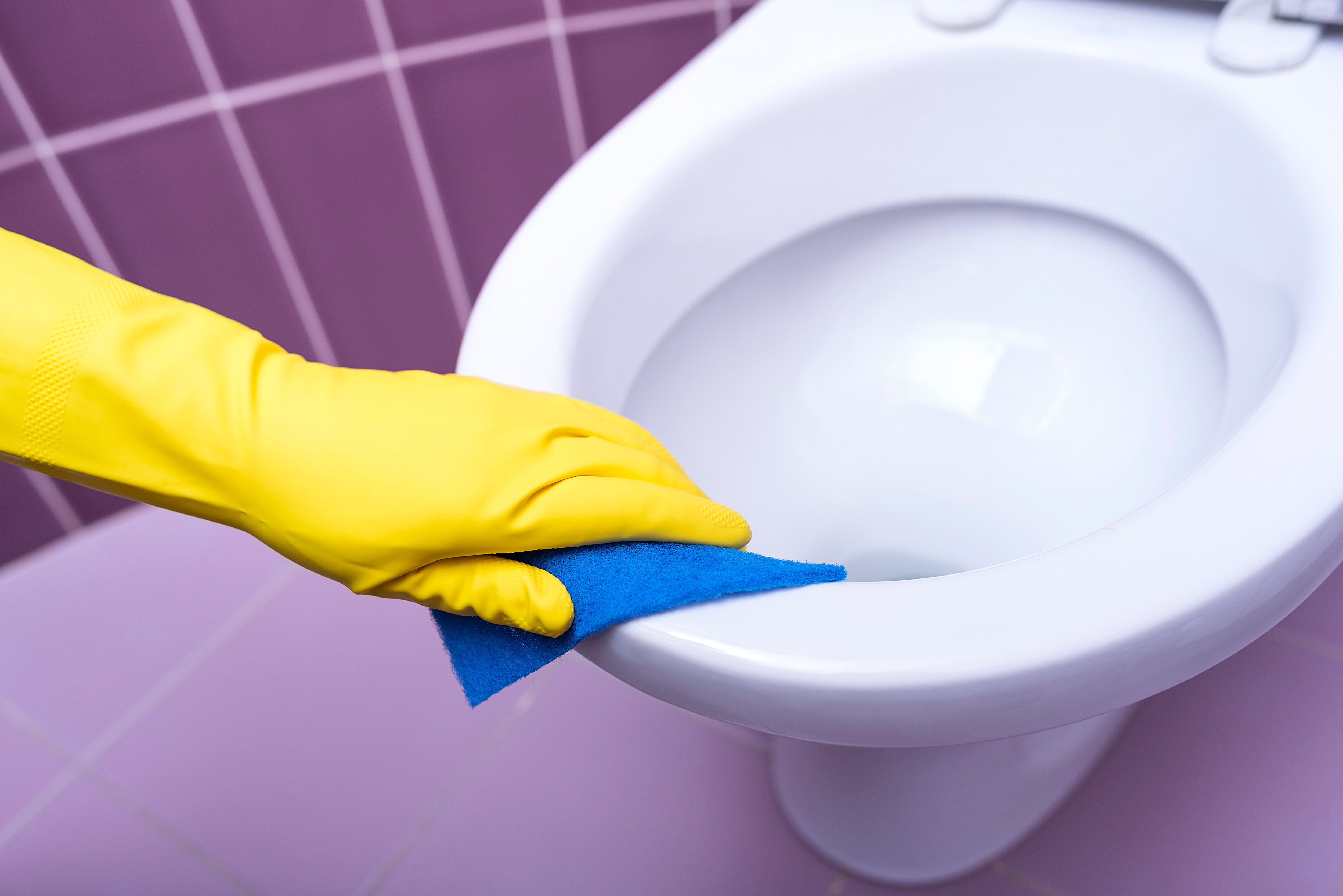 maclean | Blog | Elevating Hygiene Standards in Public Toilets