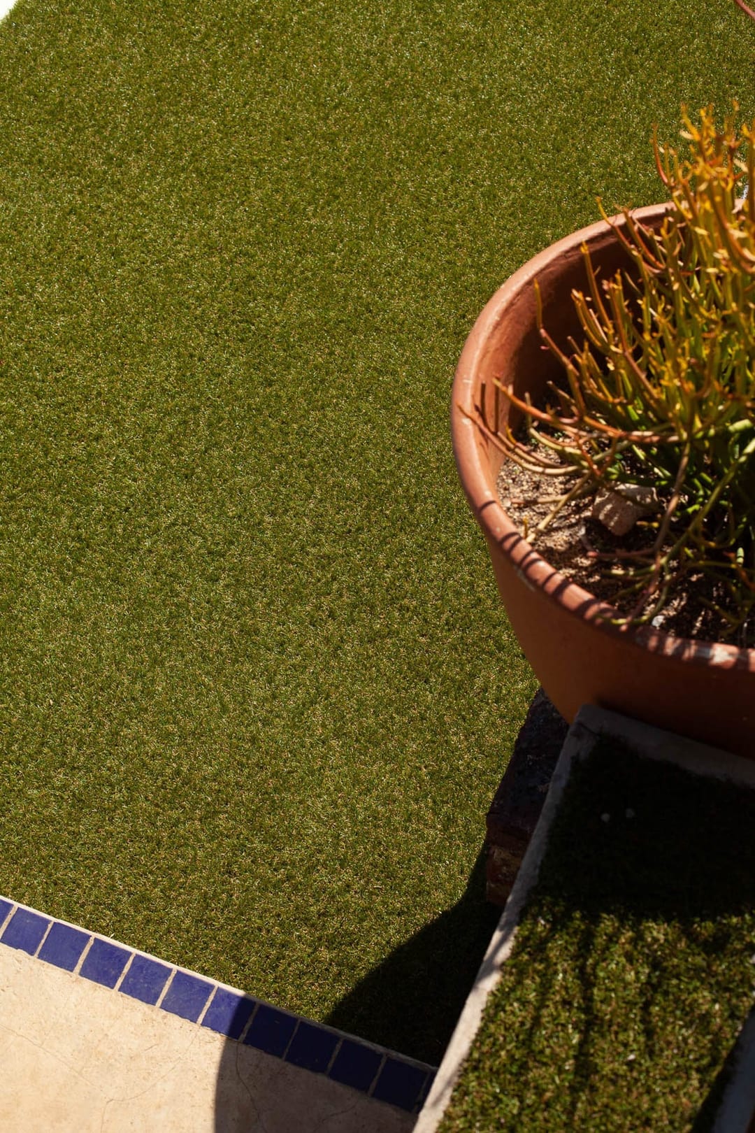 Belgotex Grass - Events