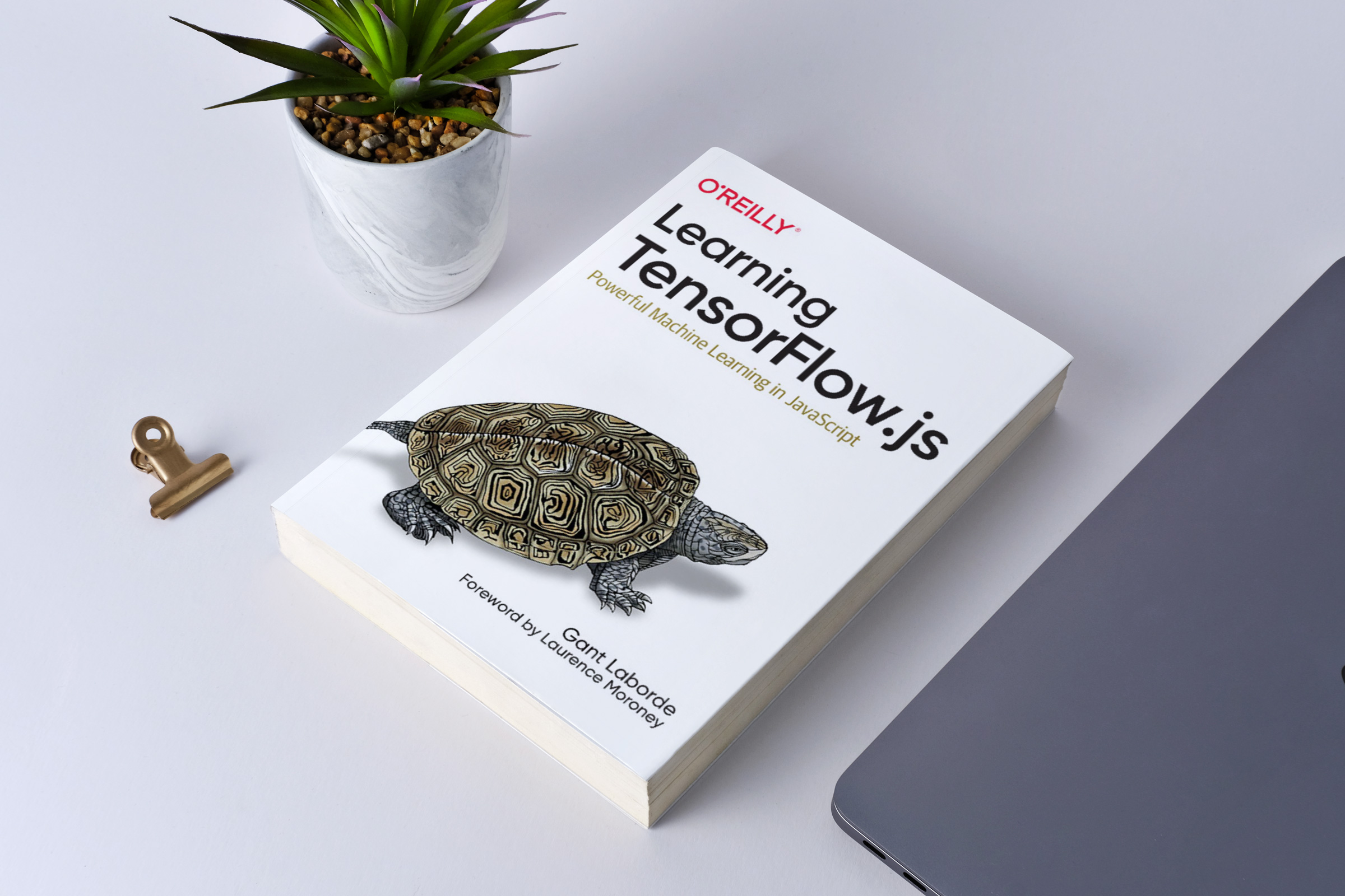 Learning TensorFlow.js: Powerful Machine Learning in JavaScript by Gant ...