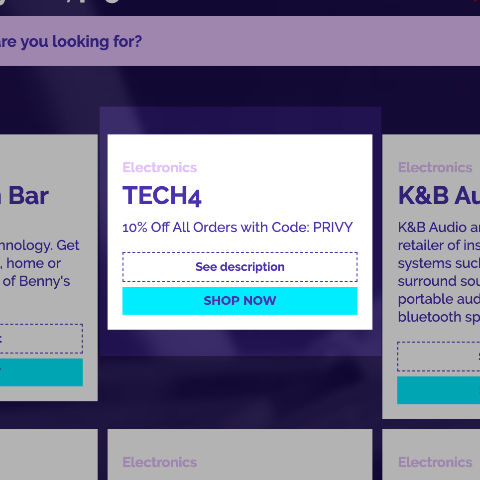 Privy's Shop Small Ecommerce