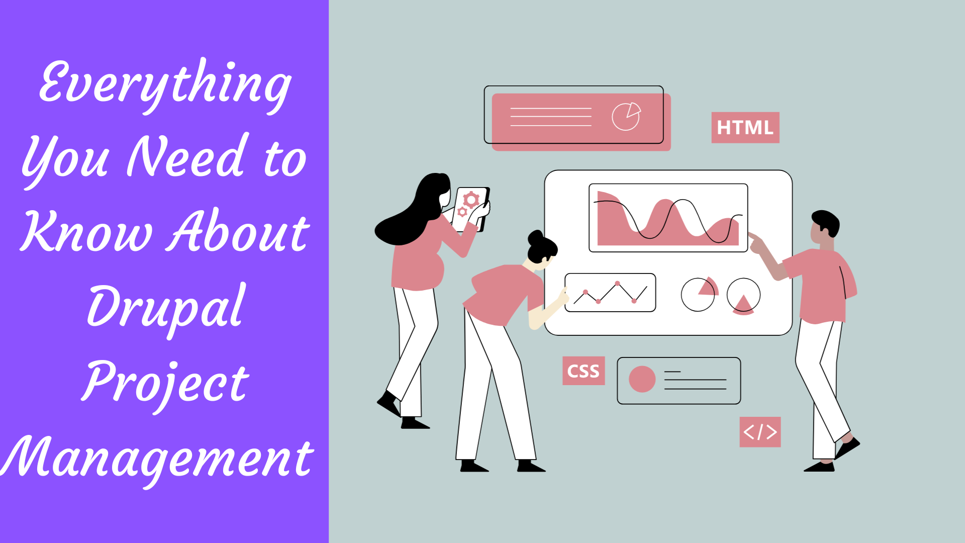 Everything You Need to Know About Drupal Project Management