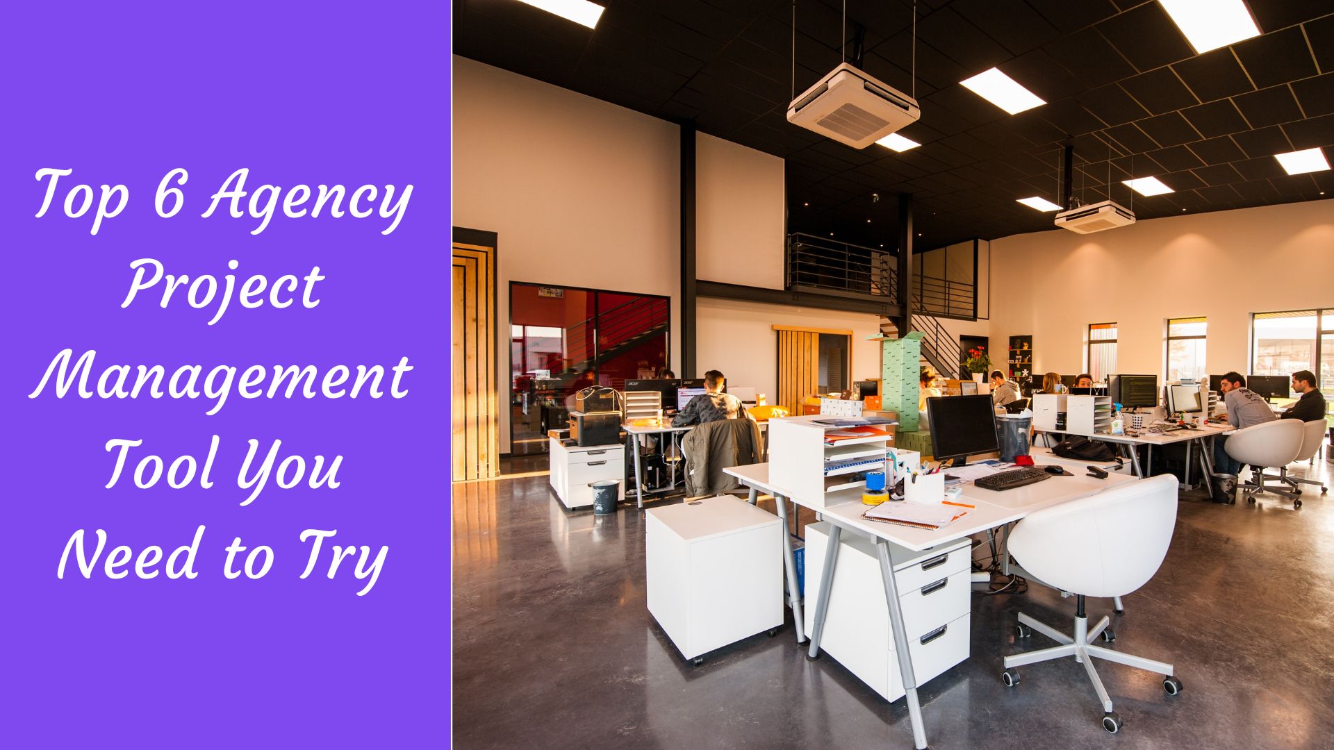 Top 6 Agency Project Management Software You Need to Try