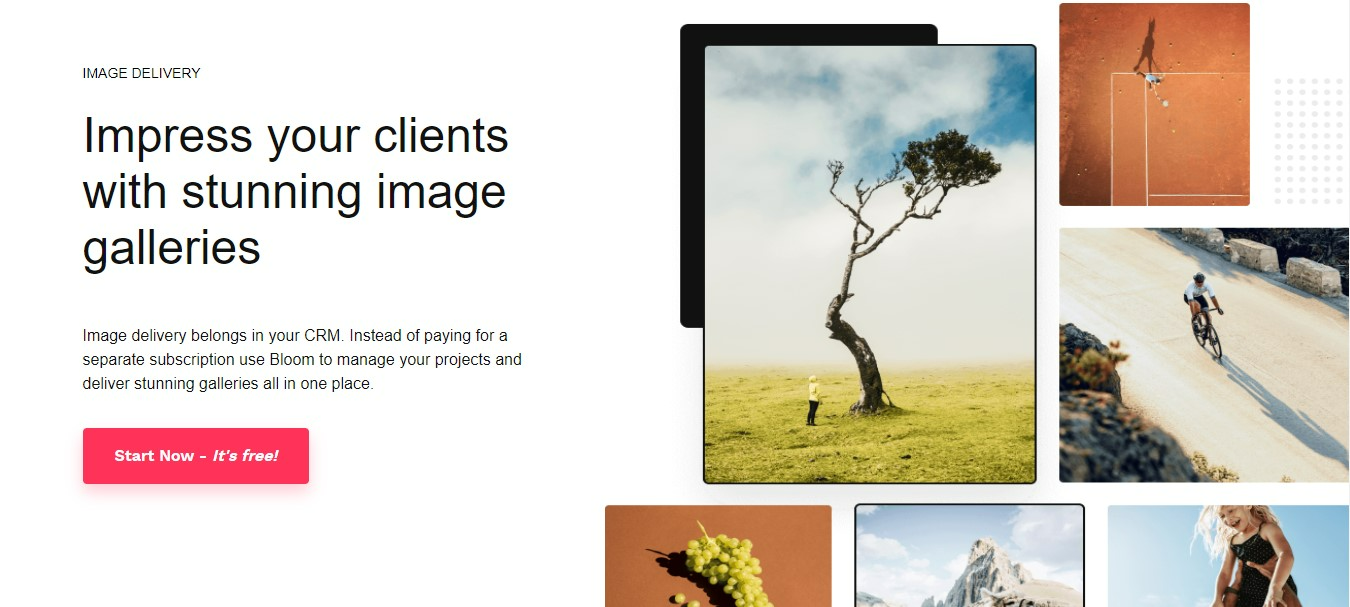 Top 4 Bloom Alternatives For Managing Your Business Easily