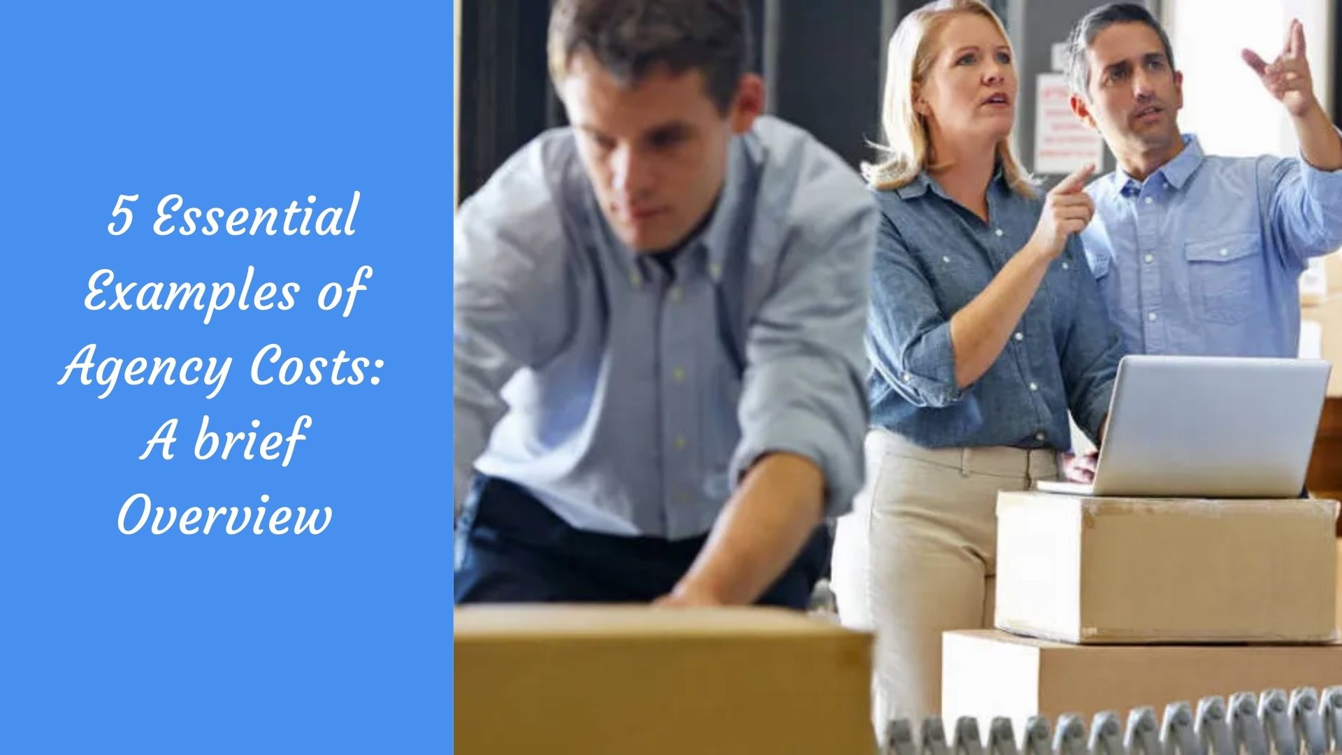 5 Essential Examples of Agency Costs: A brief Overview