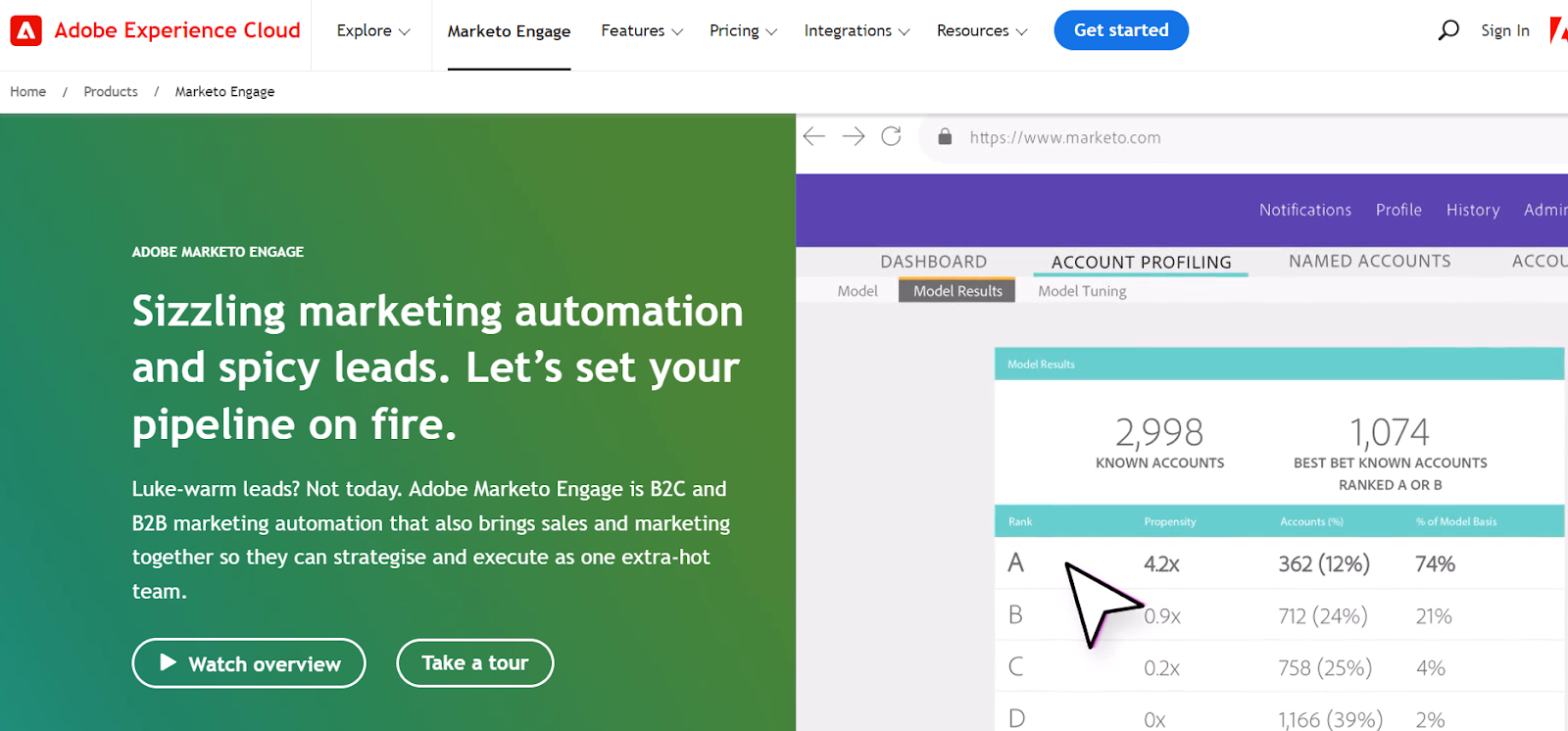11 Best Local Advertising Agency Management Software