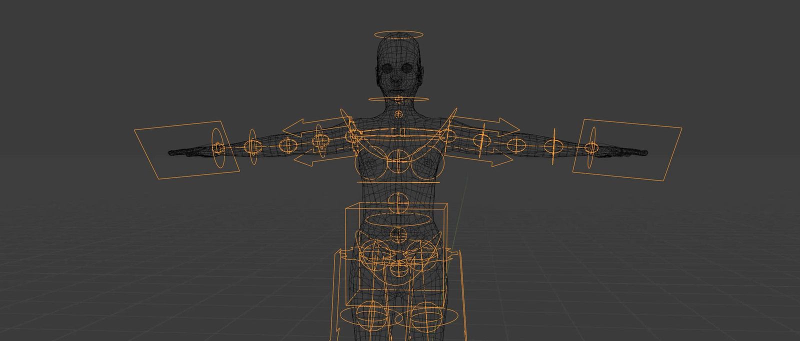 Everything You Need to Know About 3D Animation Rigs in 5 Minutes