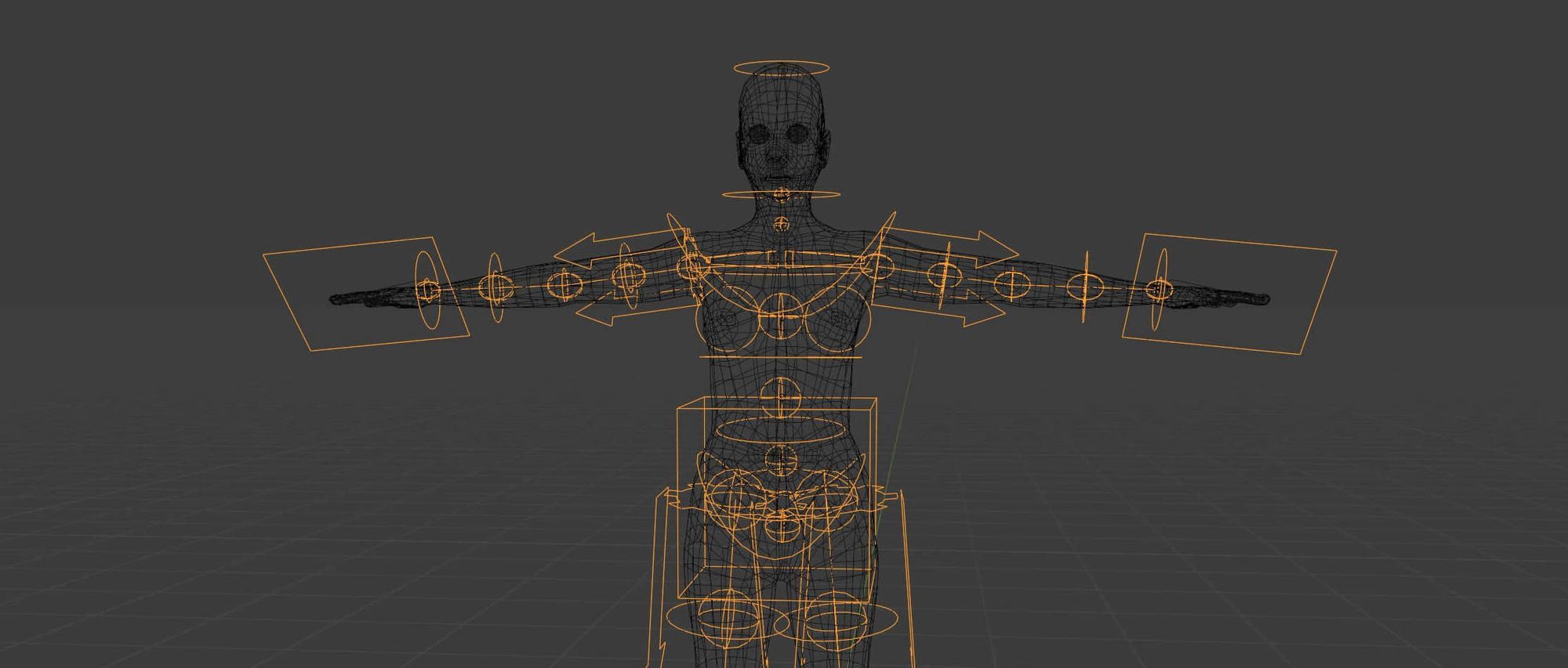 Everything You Need to Know About 3D Animation Rigs in 5 Minutes