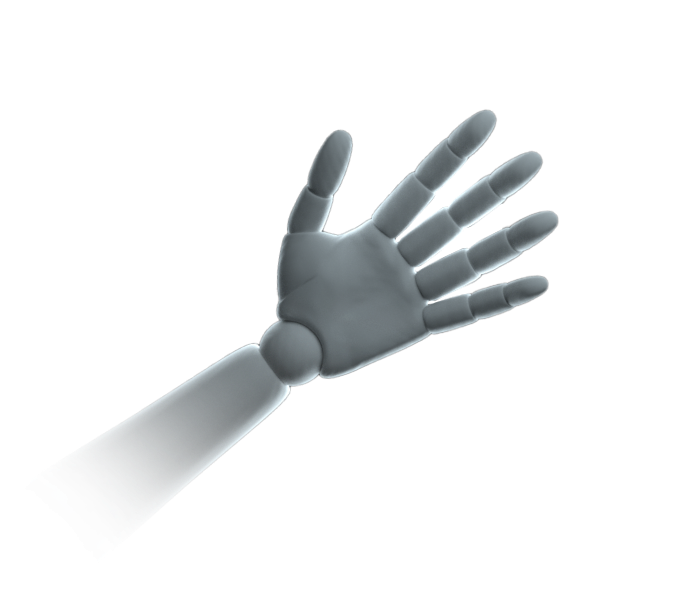 Rokoko Smartgloves - Professional finger tracking