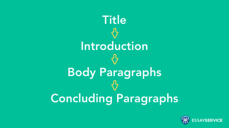 Process Analysis Essay: Handy Writing Guide