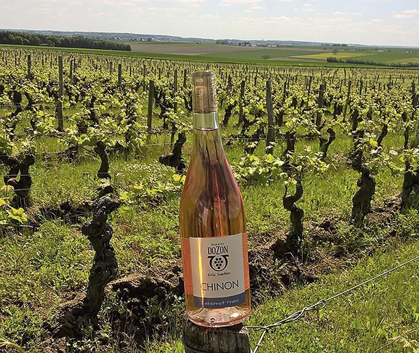 Domaine Dozon • Ligré