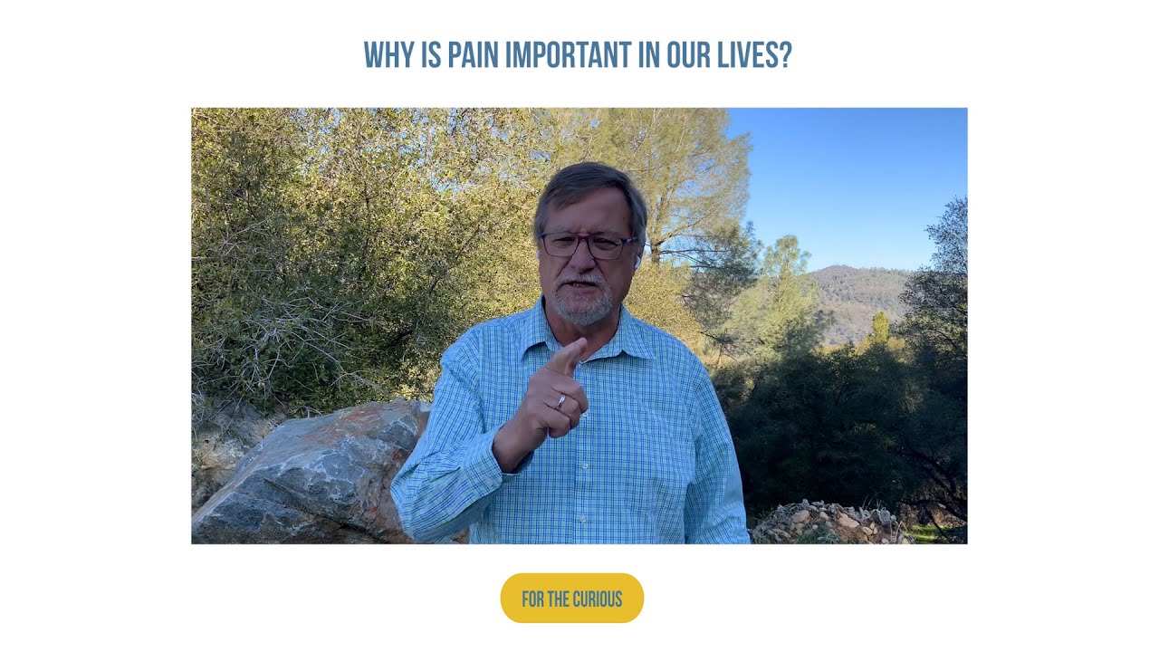 Why is pain important in our lives?