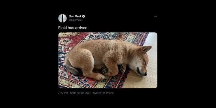 O que é Floki (FLOKI) e como funciona essa moeda?