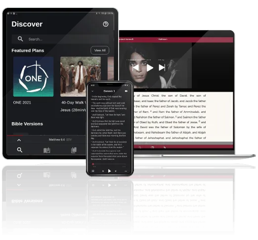 Bible Brain - Faith Comes By Hearing