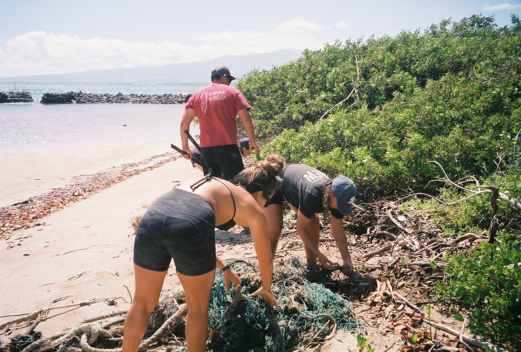 Sustainable Coastlines