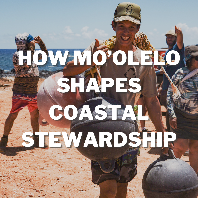 Sustainable Coastlines