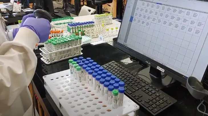 Medical LIS Systems and LIS in Healthcare