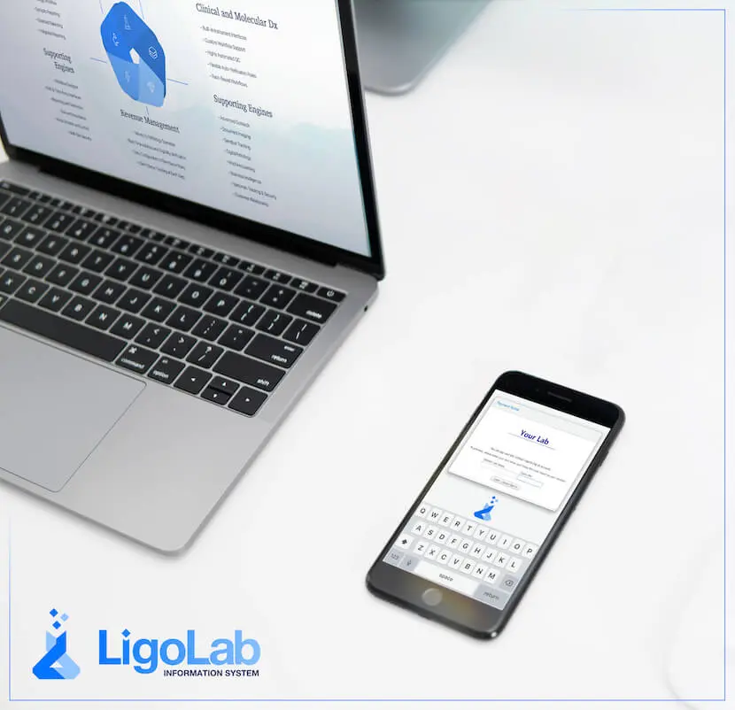 The Genesis of LigoLab: What Started as a Shared Vision Between Friends ...