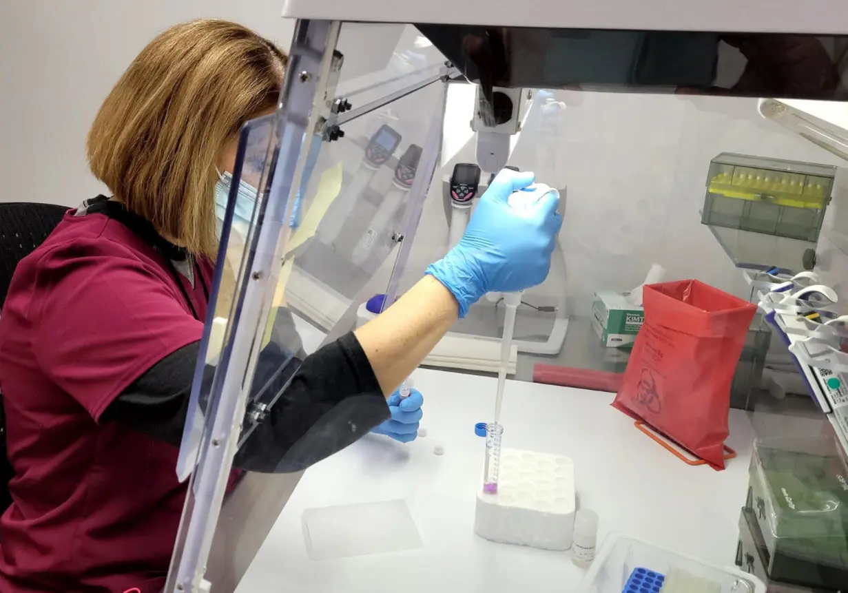 What is the Best LIS for Molecular Testing Labs?