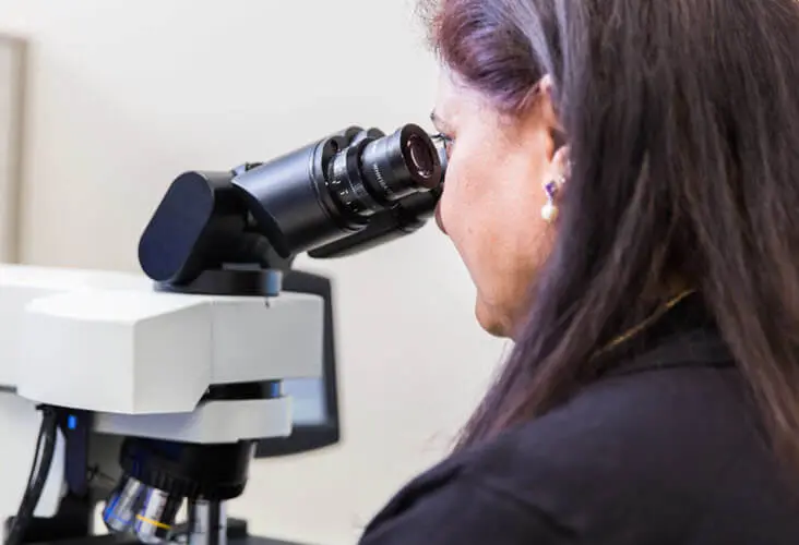 Documenting the Avero Diagnostics Move From a Legacy Lab RCM System to ...