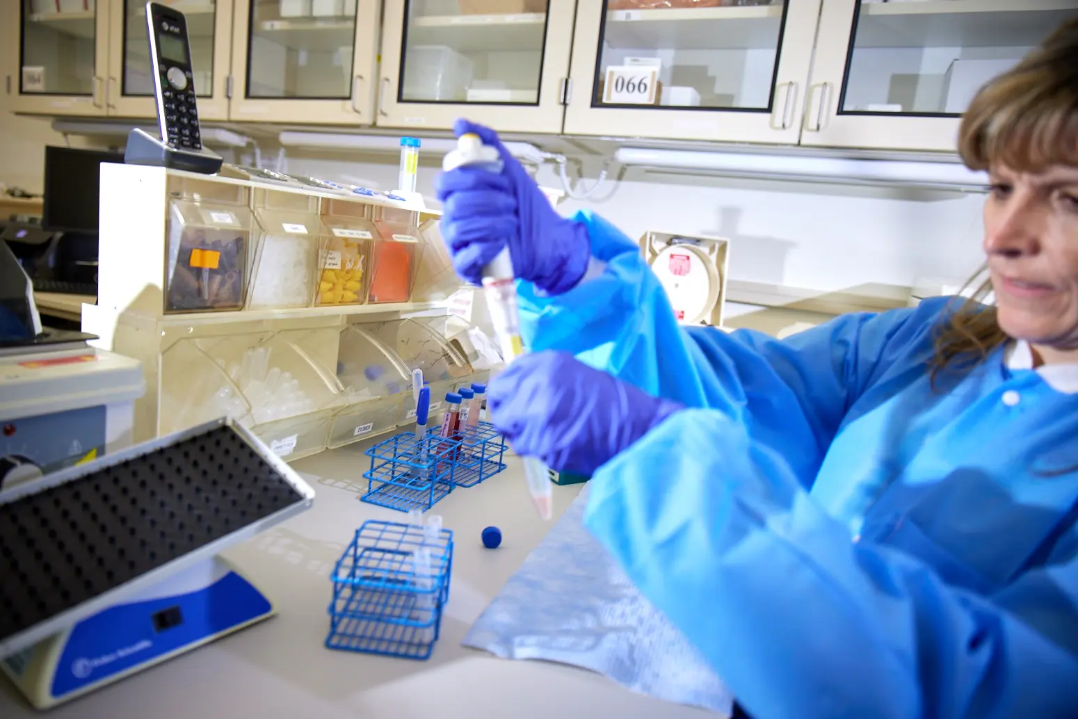 A Conversation With LIS System Administrator Kristie Becerra