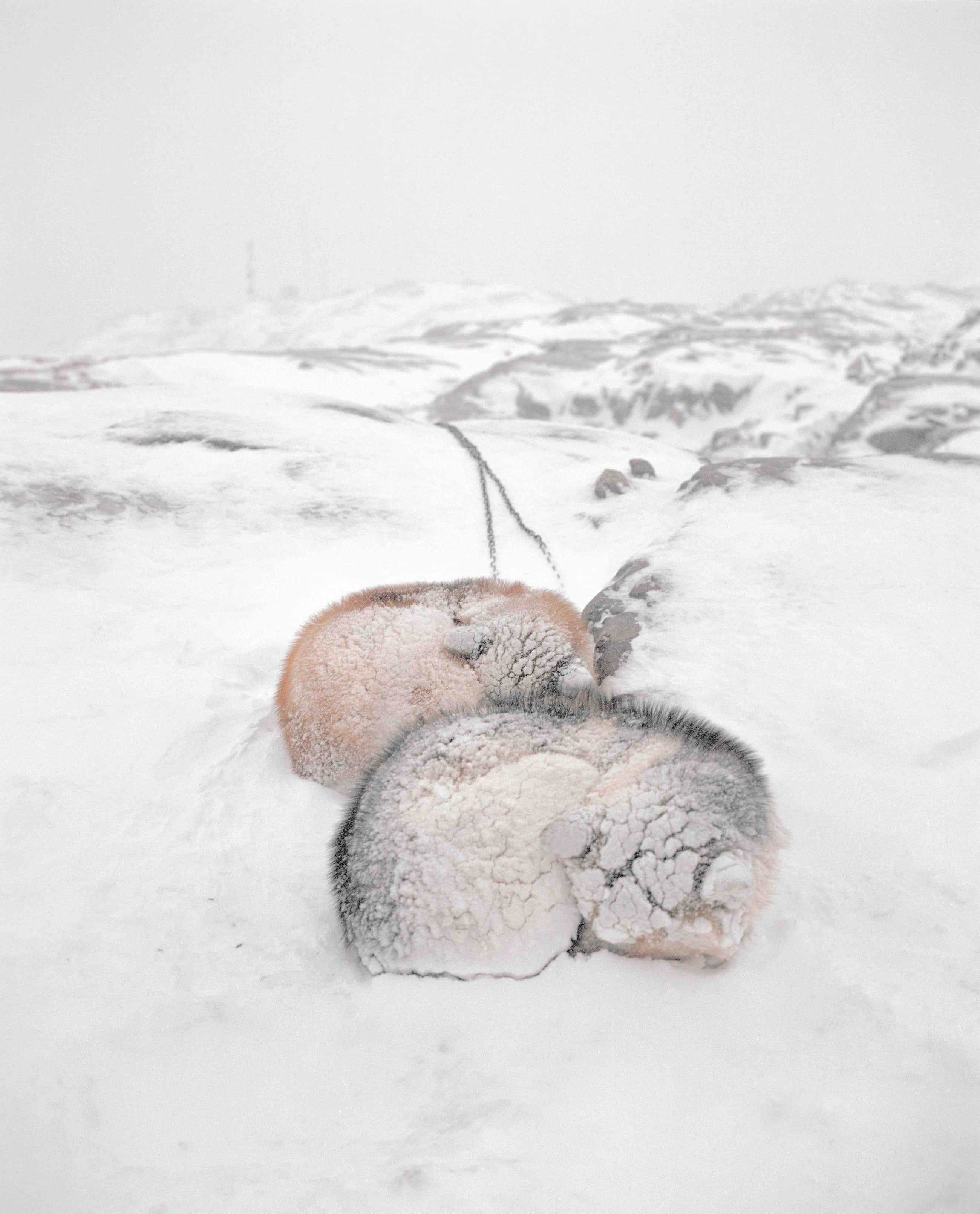 Futures Photography