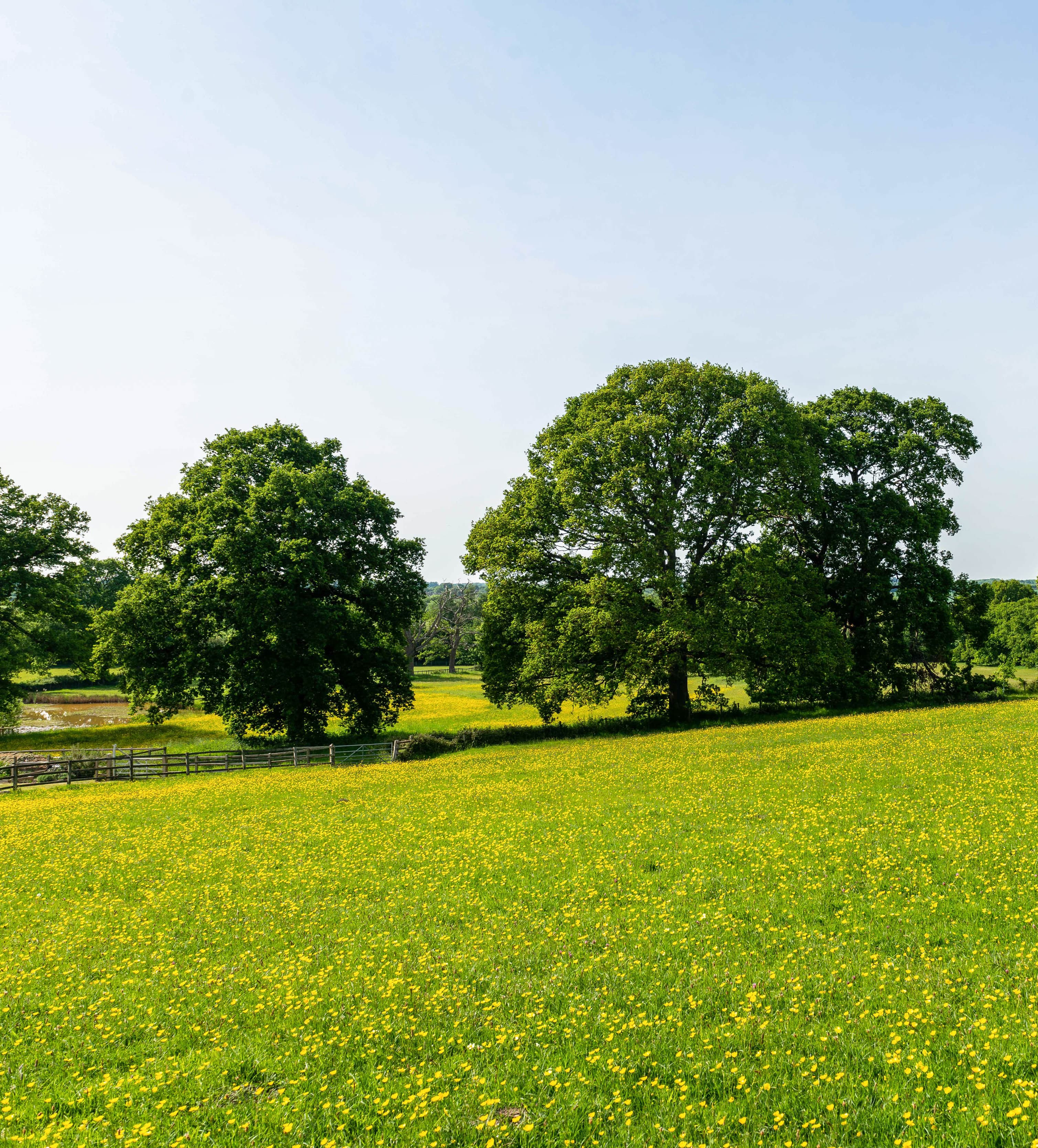 About | The Country House Department